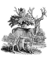 Nigel Tattersfield, The Complete Illustrative Work of Thomas Bewick ...
